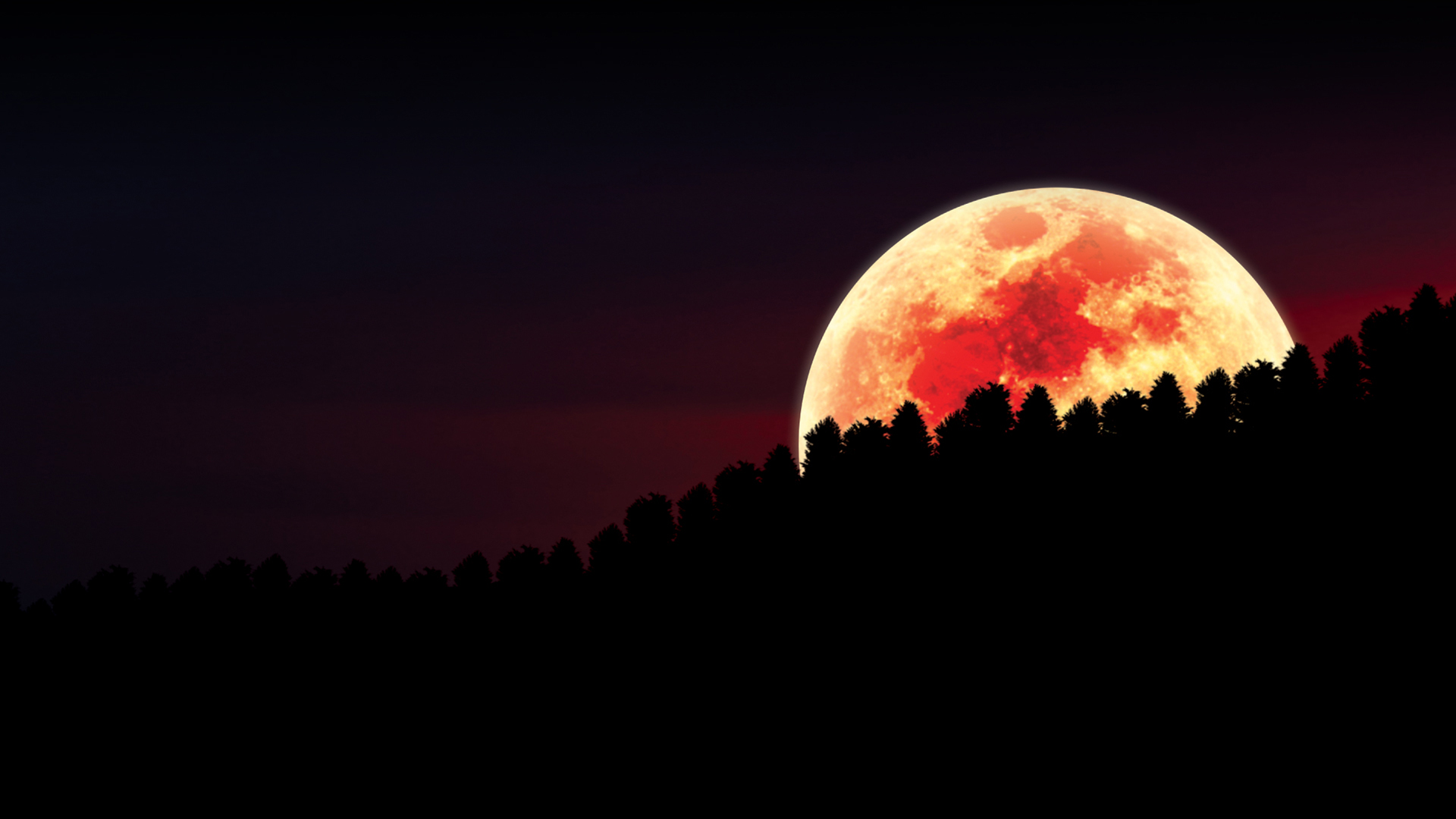 Music/Albums/Untold stories of a dying moon